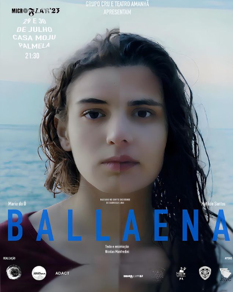 Projetos :: Isabel Xavier